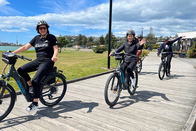 Napier: Cycle to Wineries - Half Day, self-guided - Key Points
