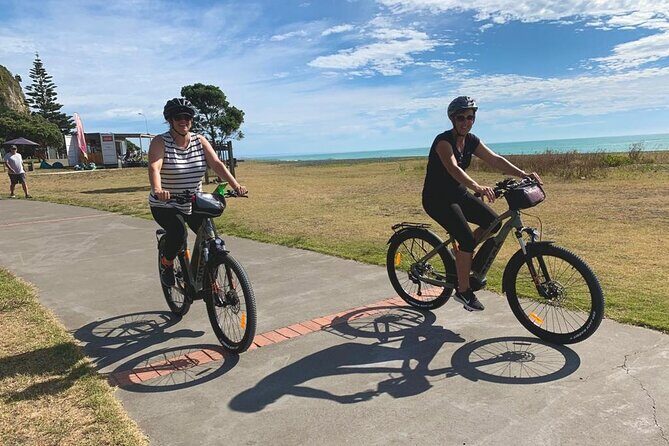 Napier: Cycle to Wineries - Half Day, self-guided - Final Thoughts: Is It Worth It?