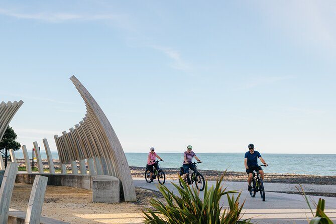 Napier E-bike Hire - Practical Tips for Riders