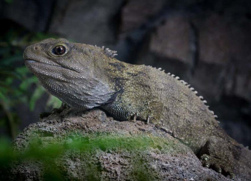 Napier: National Aquarium of New Zealand General Admission - Value and Pricing