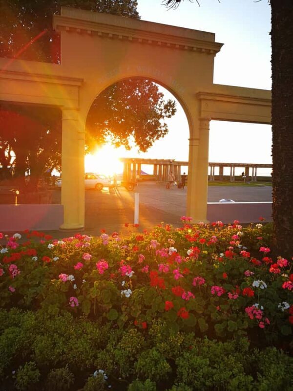 Napier: Shore Excursion with Wine Tasting and Platter - Key Points