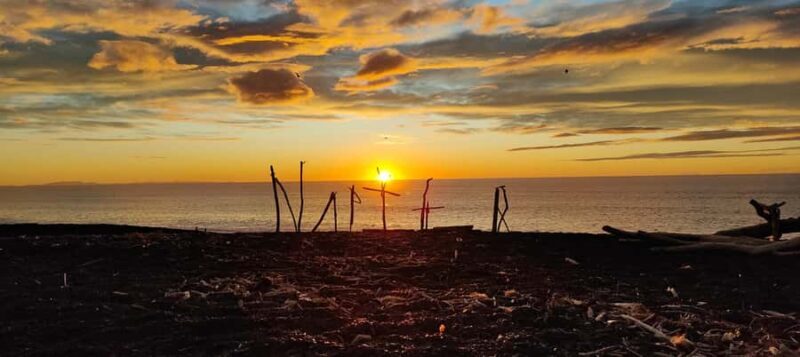 Napier: Shore Excursion with Wine Tasting and Platter - FAQ