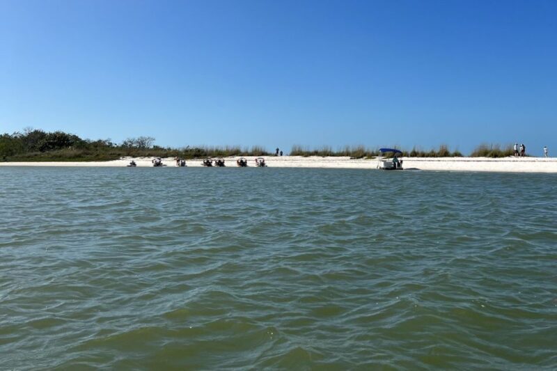 Naples, FL: Manatee, Dolphin, 10,000 Islands Beach Eco Tour - FAQ