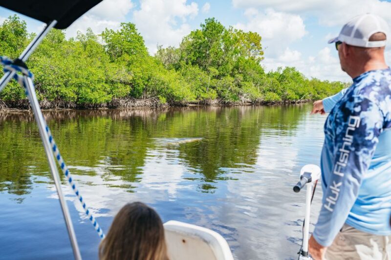 Naples, FL: Manatee Sightseeing and Wildlife Boat Tour - Practical Details: Booking, Cost, and Considerations