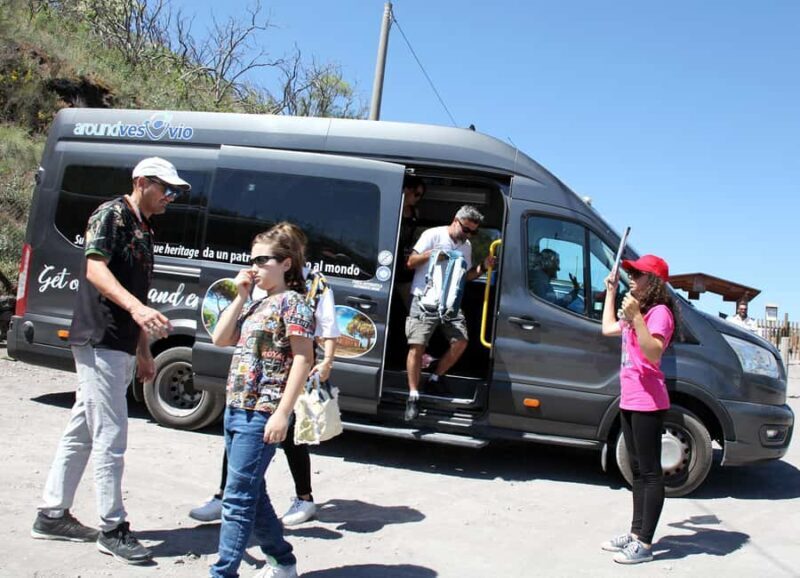 Naples: Mount Vesuvius Entry Ticket and Transfer - Who Should Consider This Tour?