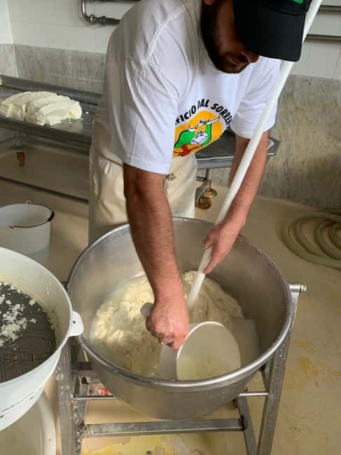 Naples: Mozzarella Experience, Taste of Southern Italy - Naples: Mozzarella Experience, Taste of Southern Italy — An Honest Look