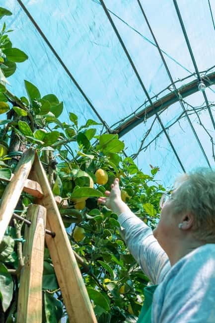 Naples: Mozzarella Experience, Taste of Southern Italy - Who Will Love This Experience?