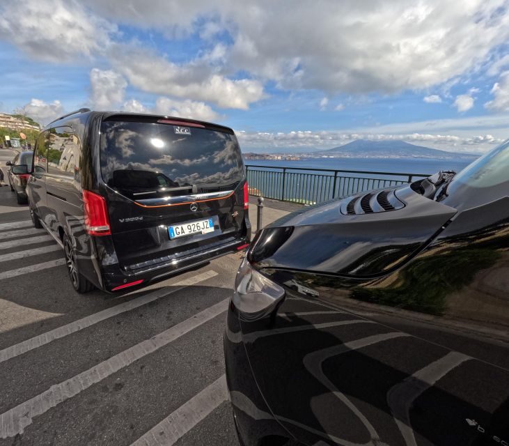 Naples Private Tour with driver and tour guide - Who Should Consider This Tour?