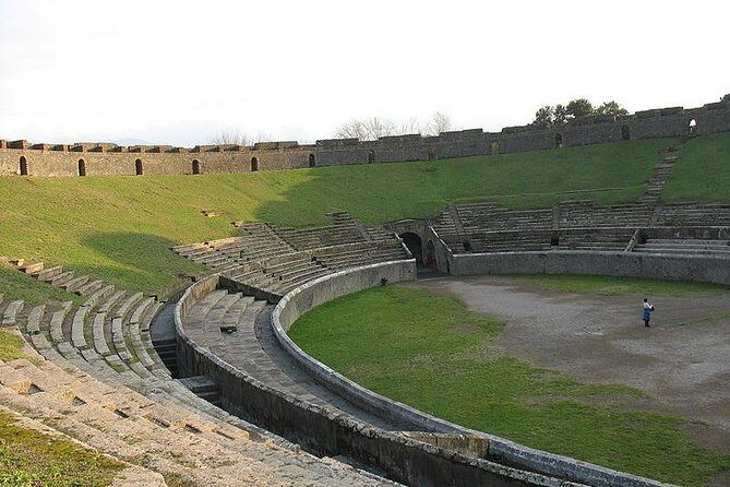 Naples Shore Excursion Mt Vesuvius and Pompeii Day Trip - Who Should Book This Tour?