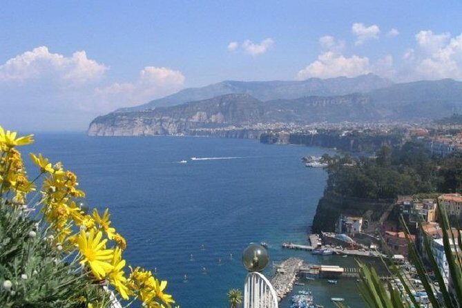 Naples Shore Excursion: Pompeii and Sorrento Day Trip - Key Points  