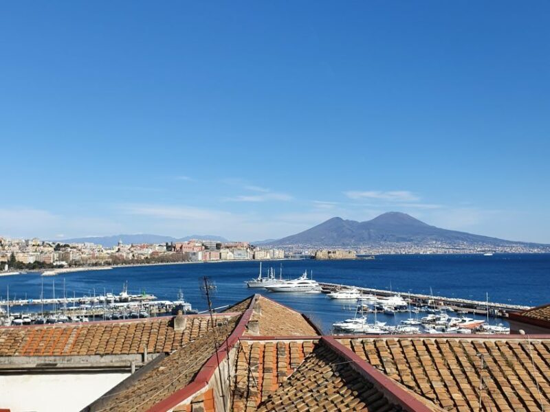Naples Sightseeing Tour for Small Groups - Who Should Consider This Tour?