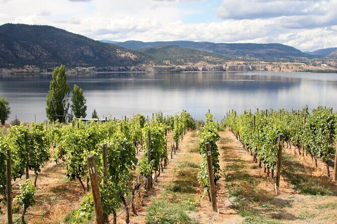 Naramata Private Wine Tour - Full Day - Naramata Private Wine Tour - Full Day: A Closer Look