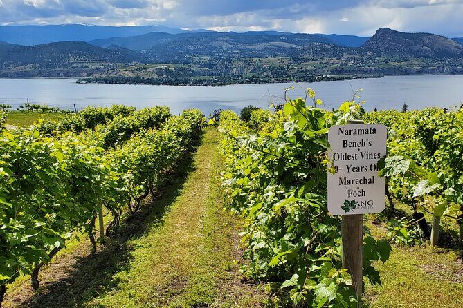 Naramata Private Wine Tour - Half Day - A Deep Dive into the Naramata Experience