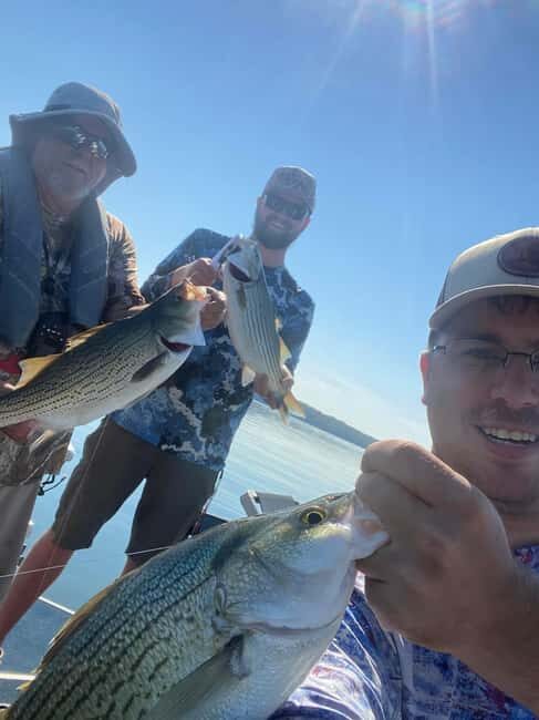 Nashville: Hybrid and Striped Bass Fishing Trip - Why Choose This Fishing Trip?