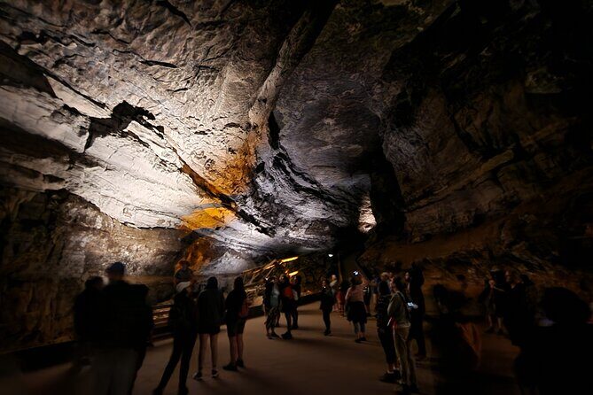 Nashville to Kentucky Caves & Kangaroos: A Day of Enchantment - Kentucky Down Under & Exotic Wildlife Encounters