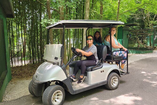 Nashville to Kentucky Caves & Kangaroos: A Day of Enchantment - Practical Details and Value