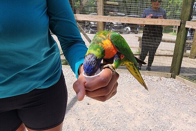 Nashville to Kentucky Caves & Kangaroos: A Day of Enchantment - What the Reviews Say