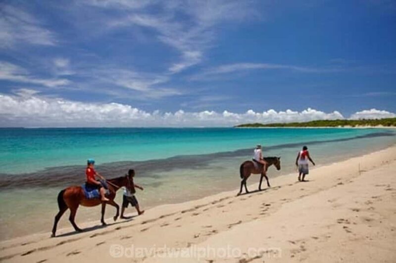 Natadola Beach Tour With Tifajek Mud Pool & Hotspring - FAQs