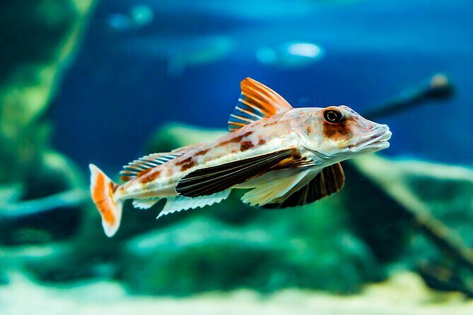 National Aquarium of New Zealand in Napier Native Icons Tour - In-Depth Review of the Native Icons Tour