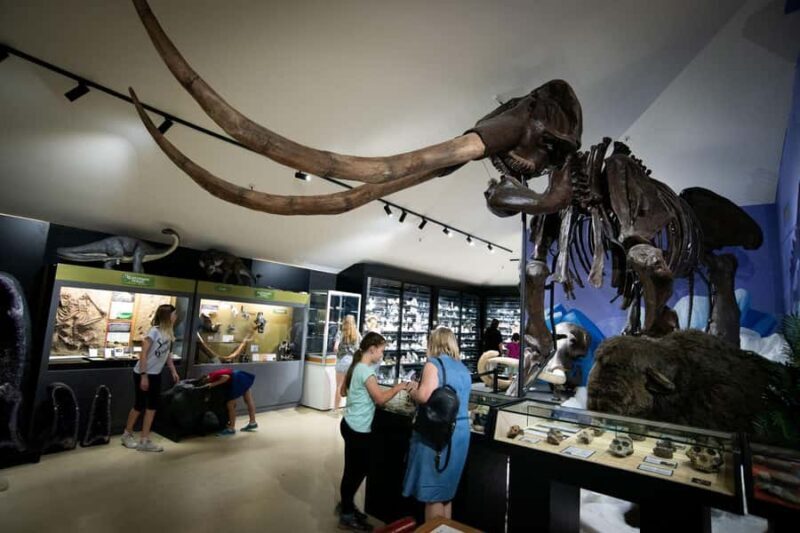 National Dinosaur Museum - Entry Ticket - Who Should Visit?