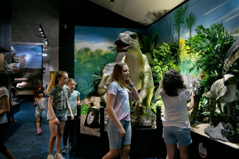 National Dinosaur Museum - Entry Ticket - FAQs