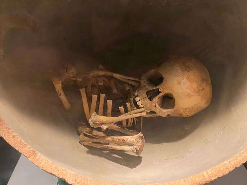 National Museum of Anthropology: A Journey into Mexico's Past-Spanish Language - The Itinerary in Detail