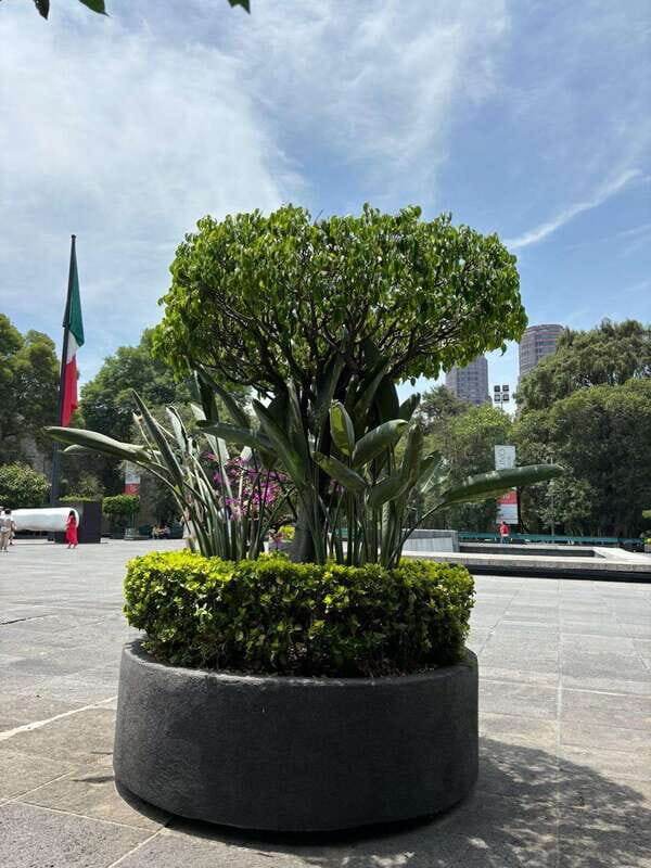 National Museum of Anthropology: A Journey into Mexico's Past-Spanish Language - Authentic Insights from Reviews