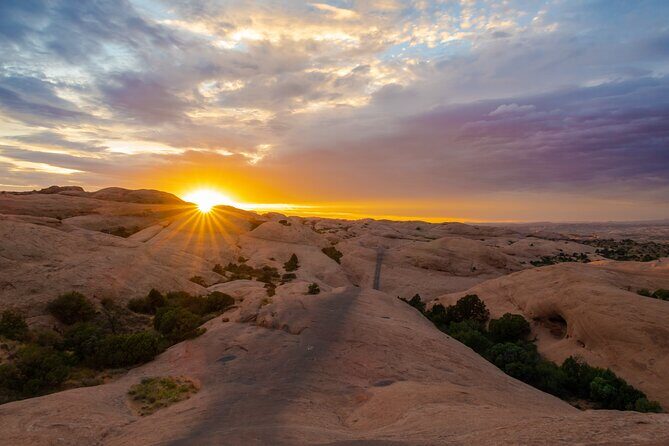 National Park Aerial Safari 3 Day Private Tour - Final Thoughts: Who Will Love This Tour?