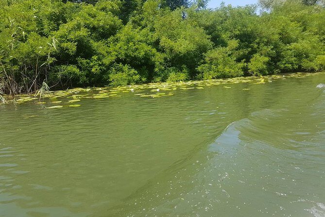 National park Skadar Lake (Private tour) - Who Will Love This Tour?