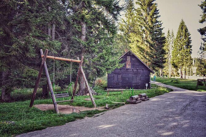 National park Tara - private day tour - An In-Depth Look at the Tour Experience  