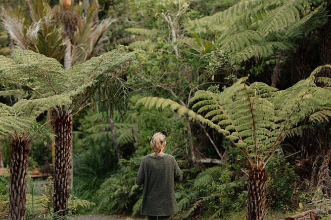 Native Forest Farm Experience Nourishing Nature in Auckland - Key Points