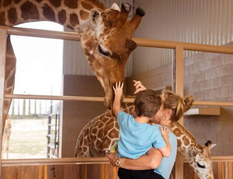 Natural Bridge Wildlife Ranch: Self-Guided Safari Drive-Thru - Exploring the Natural Bridge Wildlife Ranch