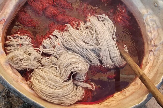 Natural Dyeing and Organic Weaving Workshop in Oaxaca - Who Should Consider This Experience