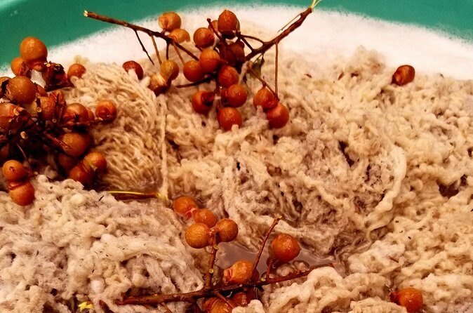 Natural Dyeing and Organic Weaving Workshop in Oaxaca - Final Thoughts