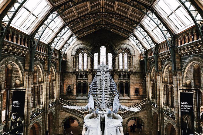 Natural History Museum London Guided Tour Semi-Private 8ppl Max - Key Points