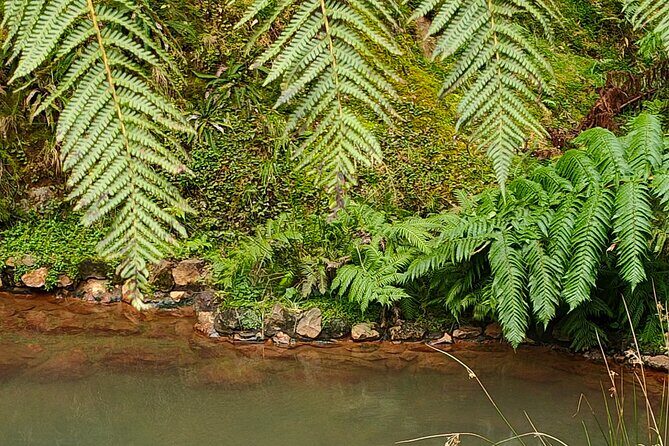 Natural Monument Old Caldeira - FAQs  