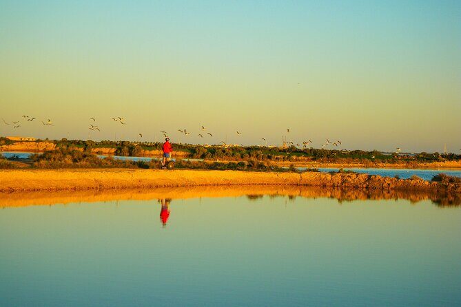 Natural Park Segway Tour with Seafood Lunch in Faro Island - Glide Through Salt Marshes & Scenic Spots