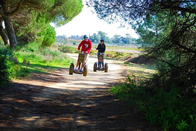 Natural Park Segway Tour with Seafood Lunch in Faro Island - The Seafood Lunch: The Perfect Finish