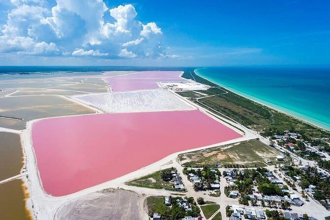 Natural Pink Lake Coloradas Transportation Included from Tulum - Who Is This Tour Best For?