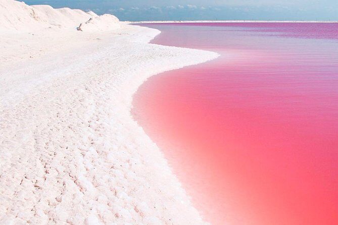 Natural Pink Lake Tour Las Coloradas only from Playa del Carmen - Key Points