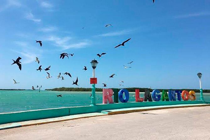 Natural Pink Lake Tour Las Coloradas only from Playa del Carmen - Transportation & Group Size