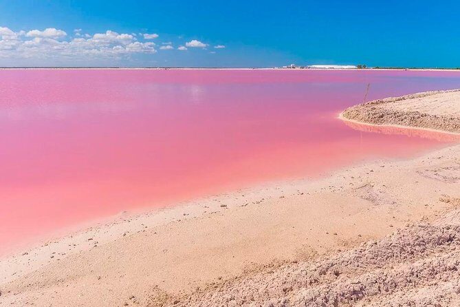 Natural Pink Lake Tour Las Coloradas only from Playa del Carmen - The Sum Up