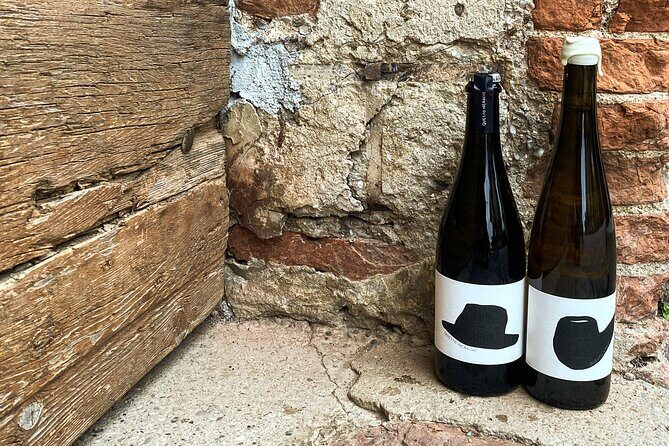 Natural Wine Tasting in the heart of the Prosecco Hills - Who Will Love This Tour?