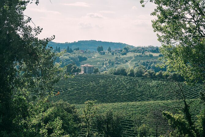 Natural Wine Tasting in the heart of the Prosecco Hills - Frequently Asked Questions