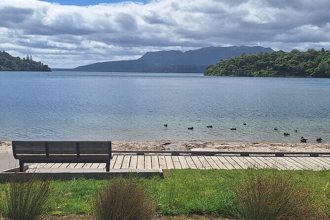 Nature at its best Lake Tarawera Treetop Walk and Forest Spas - Discovering Lake Tarawera and Its Surroundings