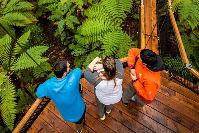 Nature at its best Lake Tarawera Treetop Walk and Forest Spas - The Value of a Well-Organized, Intimate Tour