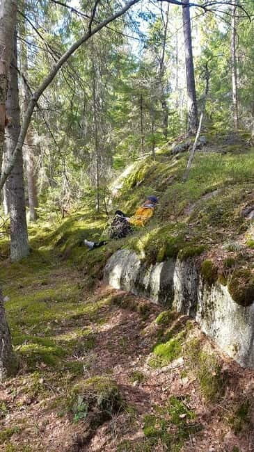 Nature Hike from Stockholm - The Itinerary: A Day in Swedish Nature