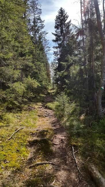 Nature Hike from Stockholm - Who Is This Tour Best For?