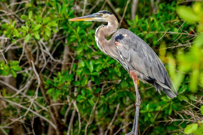 Nature tour by boat in the Natural Reserve in Río Lagartos - Final Thoughts