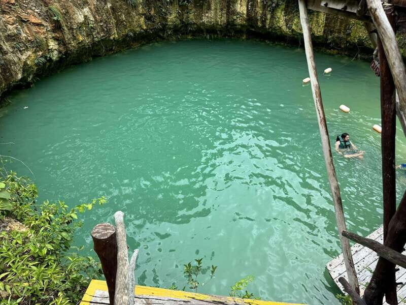 Nature Tour - An In-Depth Look at the Jungle Paradise Nature Tour